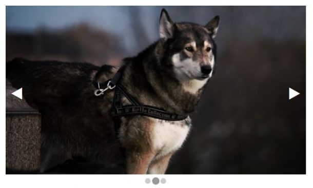 12+ Cool Pure CSS Image Slider - OnAirCode