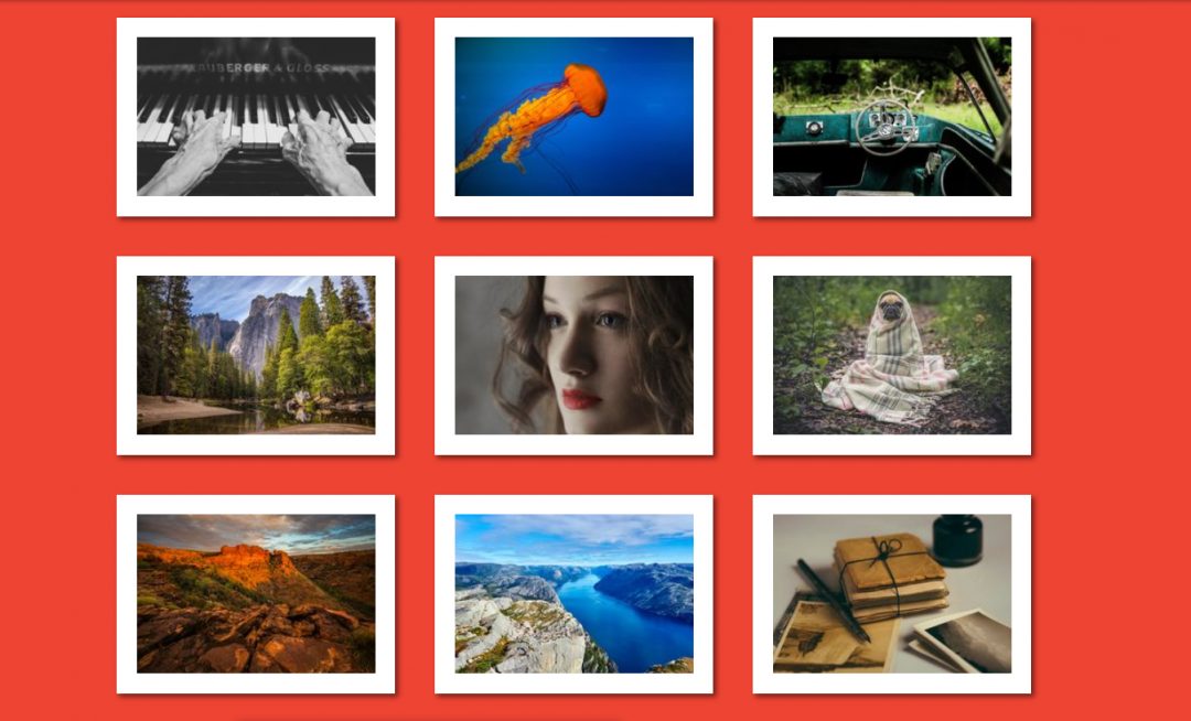 25+ Image Overlay CSS Hover Effects - OnAirCode
