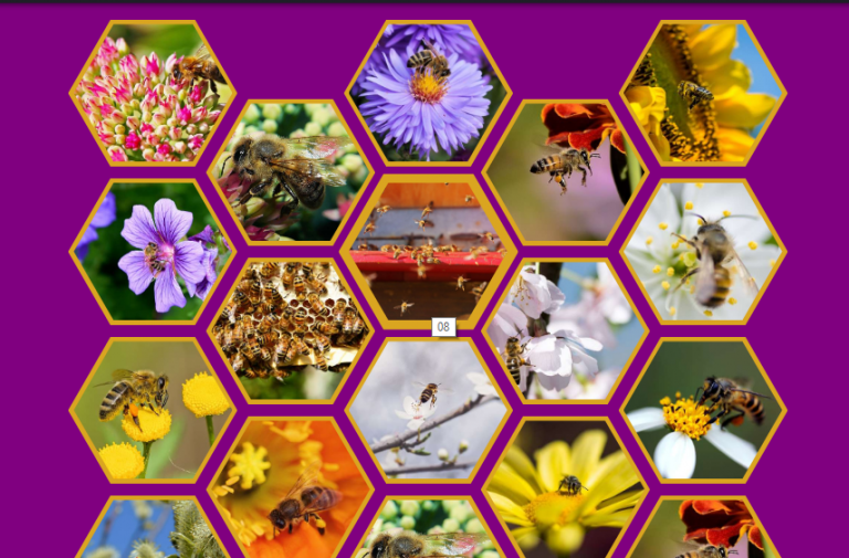 20+ CSS Thumbnail Examples with Effects - OnAirCode