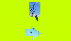 22+ Image Animation CSS and Transition Effects - OnAirCode
