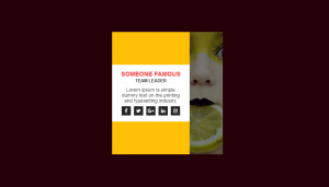 14 CSS Card Hover Effects Examples - OnAirCode
