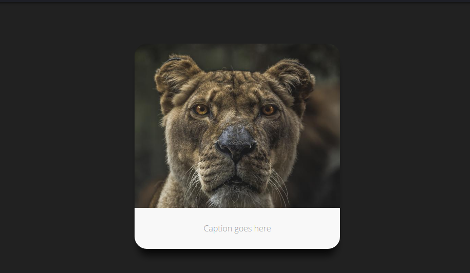 20 Css Thumbnail Examples With Effects Onaircode