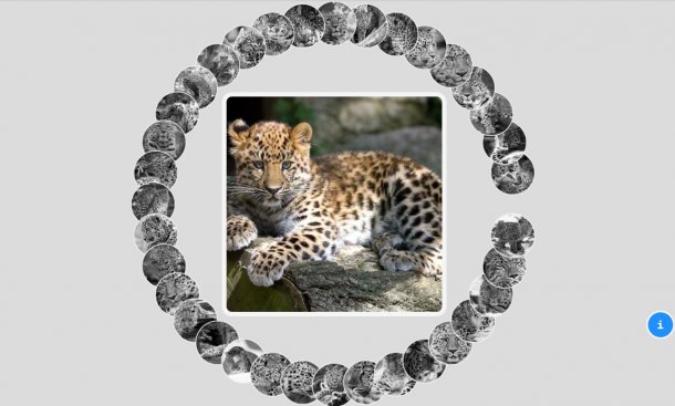30+ CSS Image Gallery Examples Code Snippet - OnAirCode