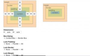 15+ CSS Box Model Examples with Code Snippet - OnAirCode