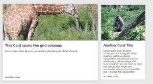 23+ CSS Card Layout Examples with Code Snippets - OnAirCode