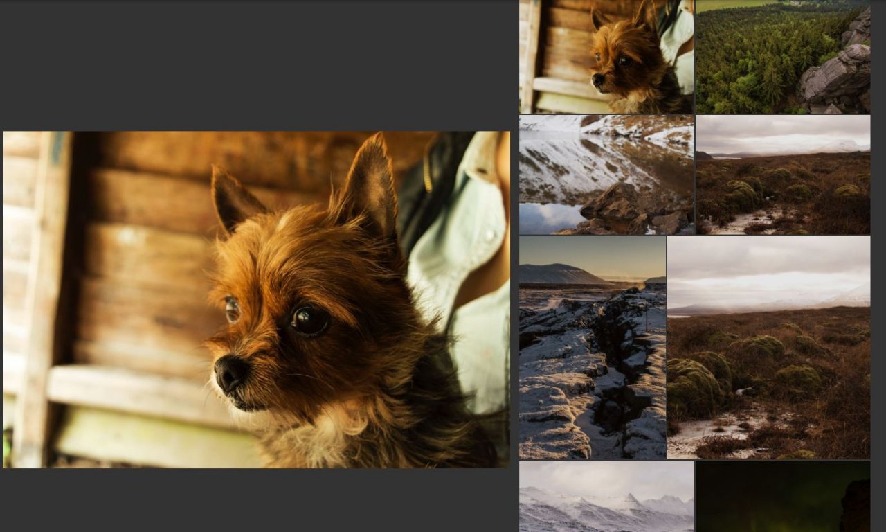 17+ Bootstrap Photo Gallery Code Examples - OnAirCode