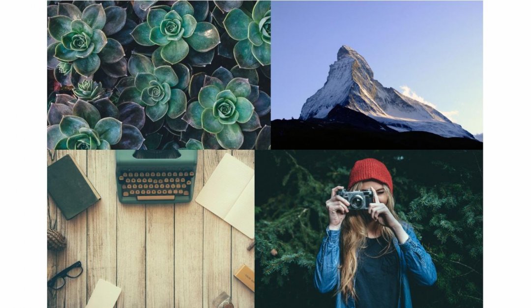 17+ Bootstrap Photo Gallery Code Examples - OnAirCode