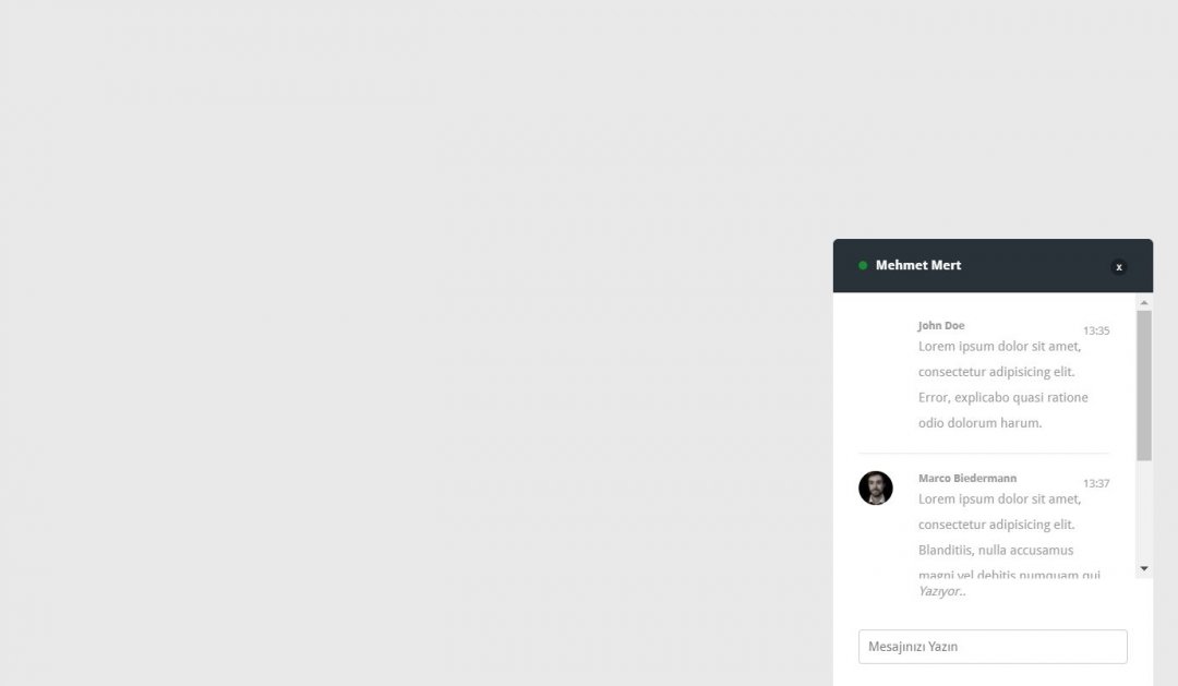 20 Javascript Chat Box Design Example Onaircode