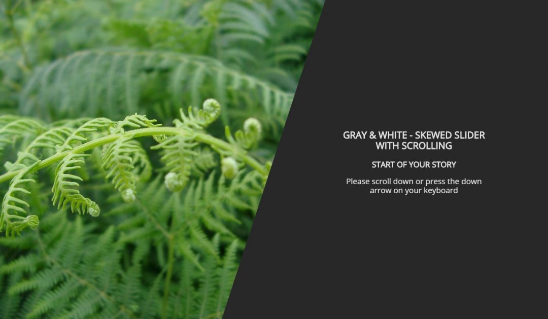 25+ JavaScript Slider Code Examples - OnAirCode