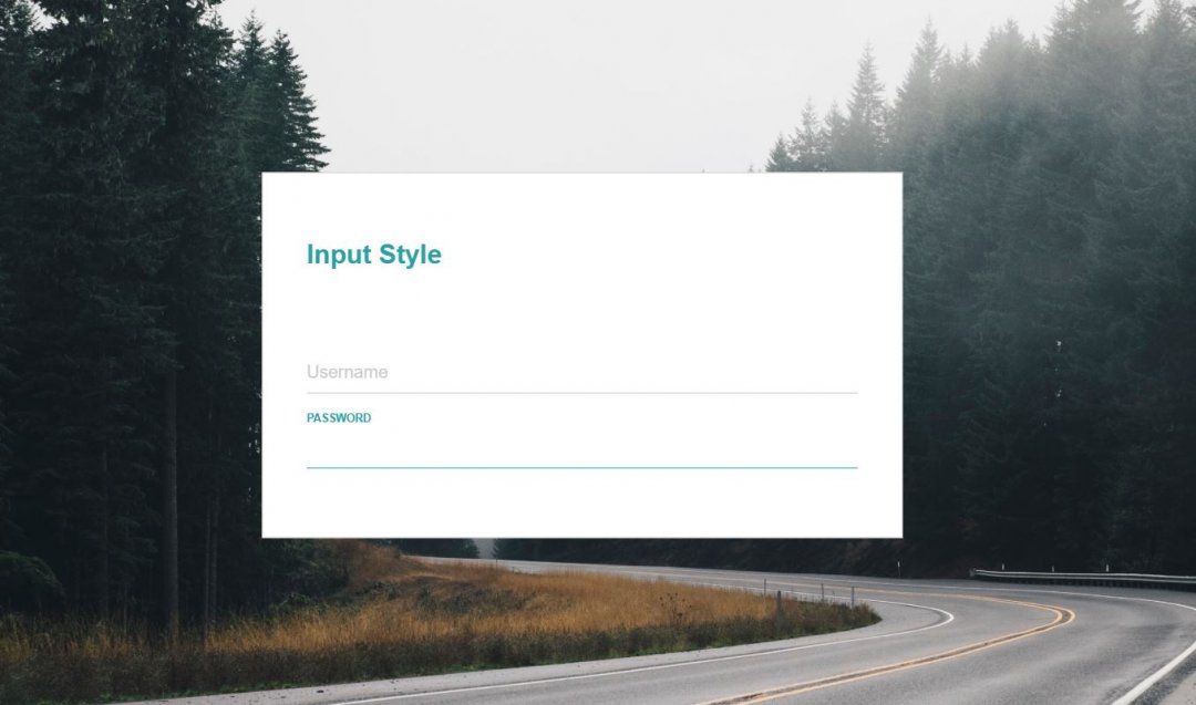 18 Javascript Input Text Form Design Examples Onaircode